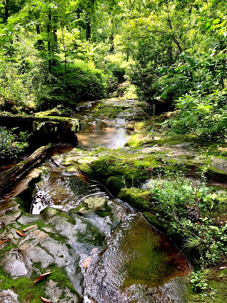 Living Springs – A Sign of Hope