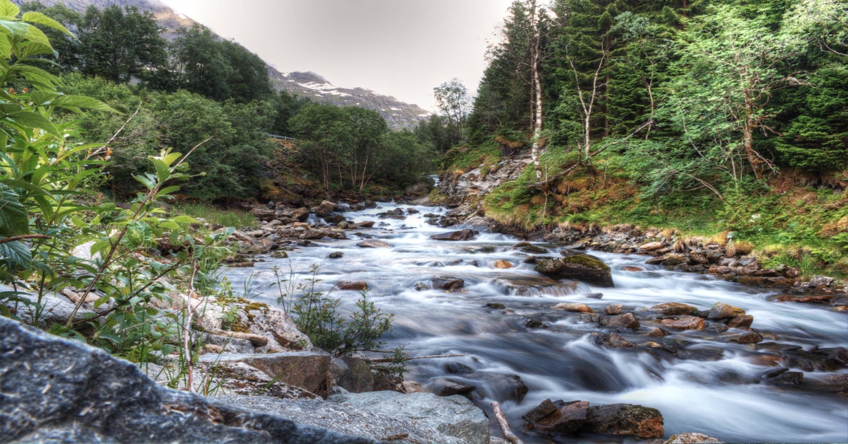 The River Rolls On – A Sign of Hope