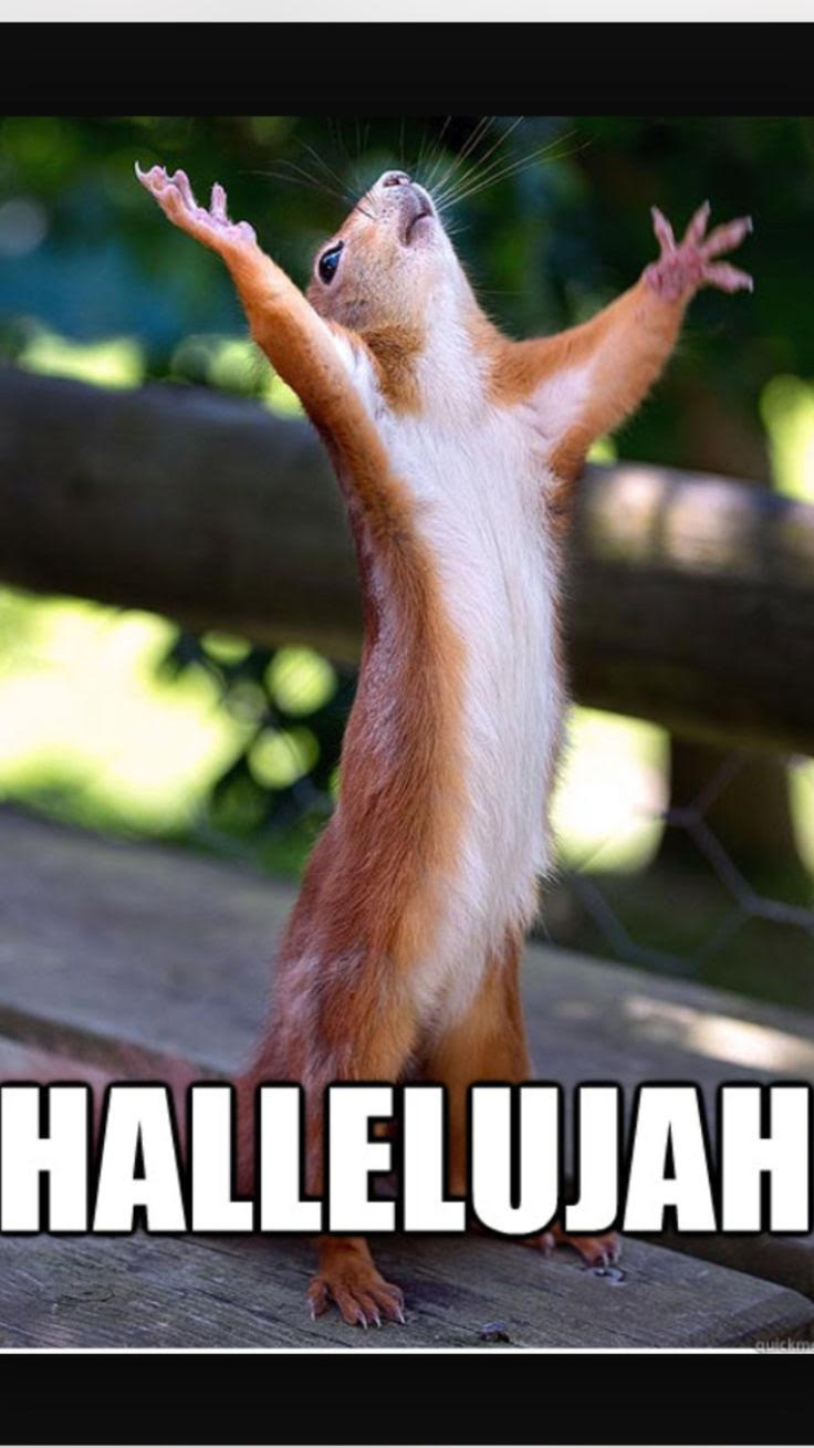 Feast of the Sacred Heart of Jesus – A Sign of Hope